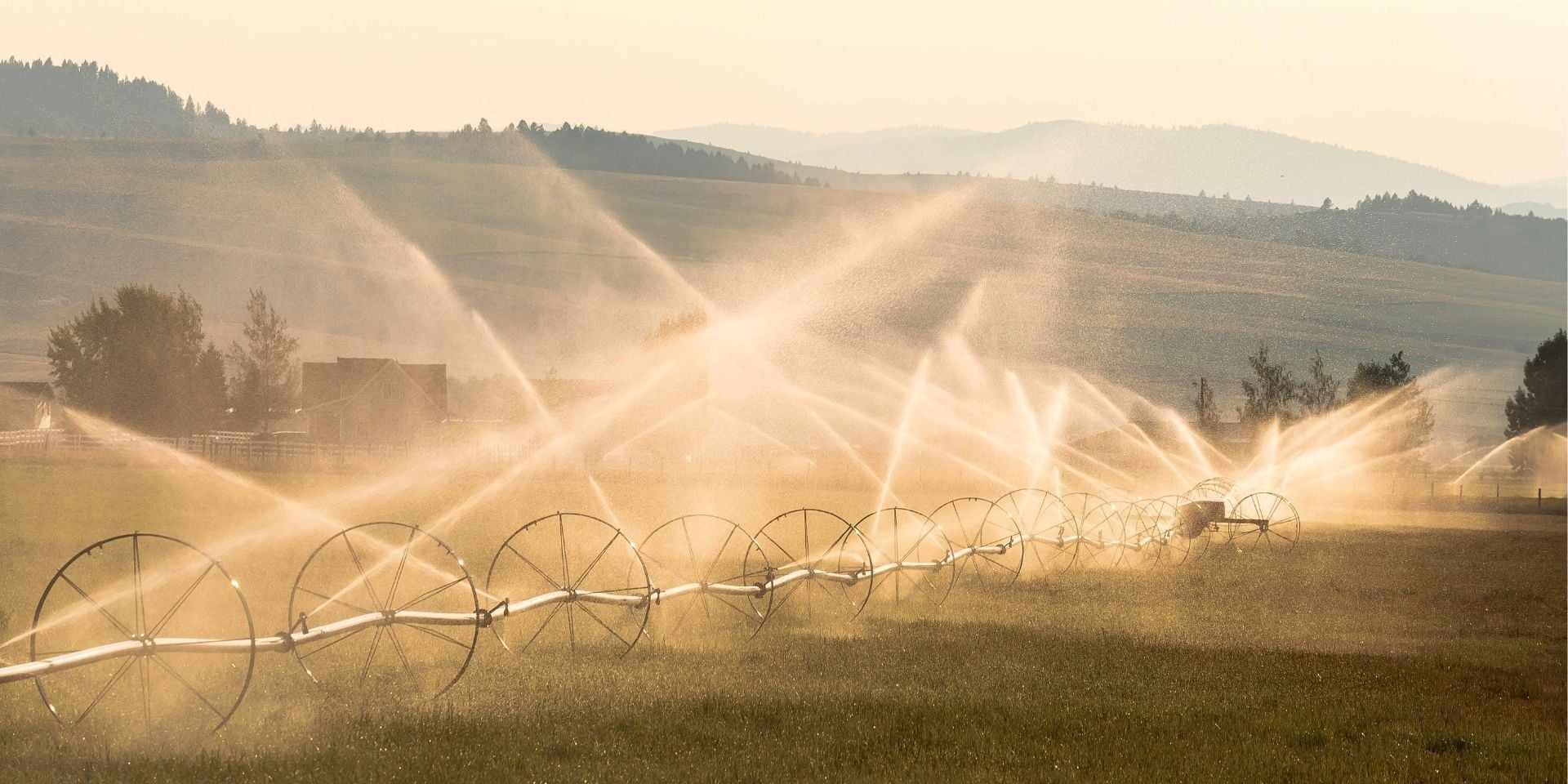 IoT remota em áreas sem sinal | Conectividade via satélite vs. celular